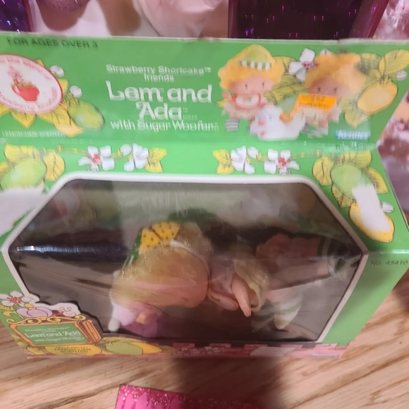 Toys | Vintage 1979 Strawberry Shortcake Lem Ada Twin Dolls Wsugar ...